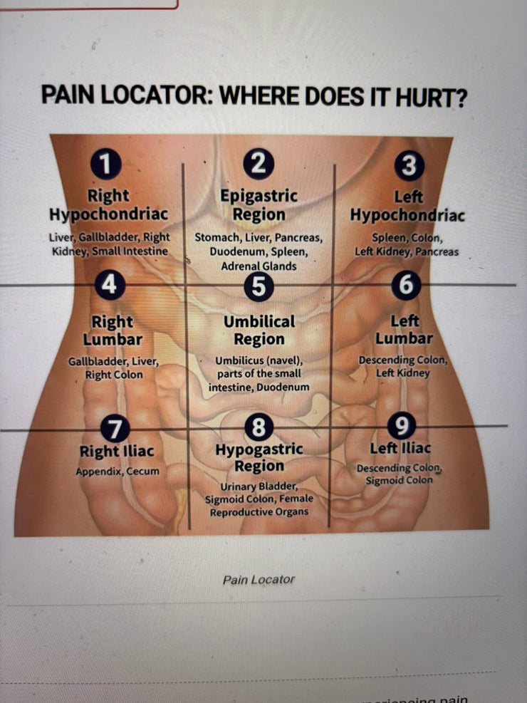 Abdominal Pain Map: The 9-Region Locator Guide – FUNanc1al